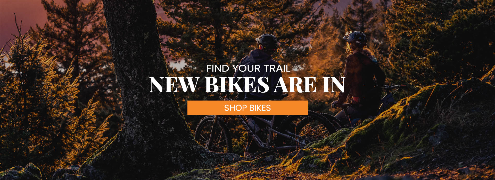 BlueZone Sports | Snow, Water, Bike, Camp, Hike